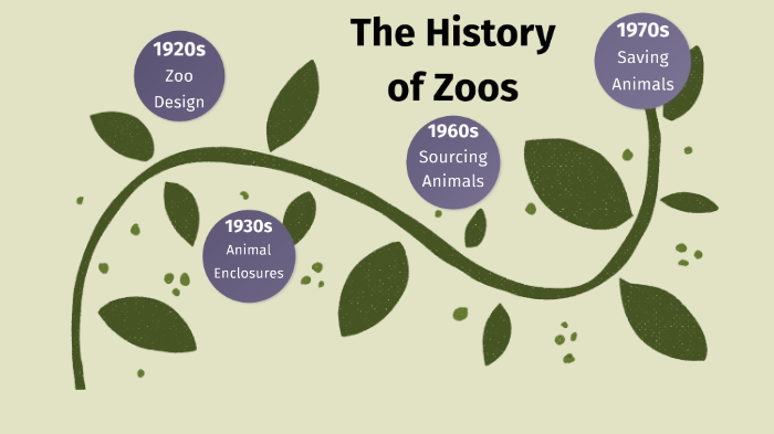 Zoo timeline by Fart Monkey on Prezi