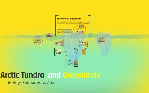Arctic Tundra and Grassland Biome by Ginger S. on Prezi