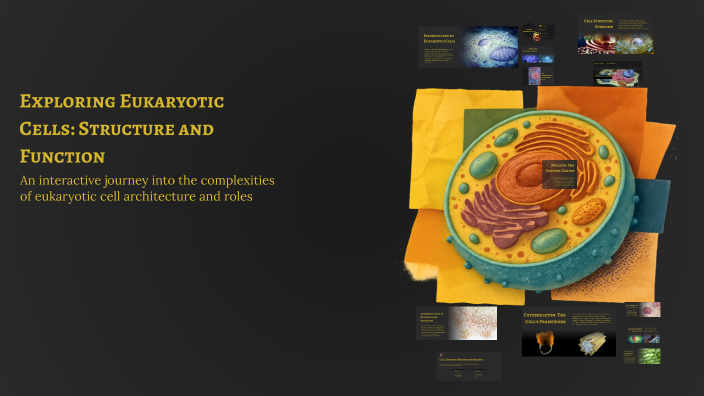 Exploring Eukaryotic Cells: Structure and Function by SEBAS VALES1000 ...