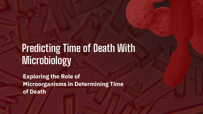 Predicting Time of Death With Microbiology by Mary on Prezi