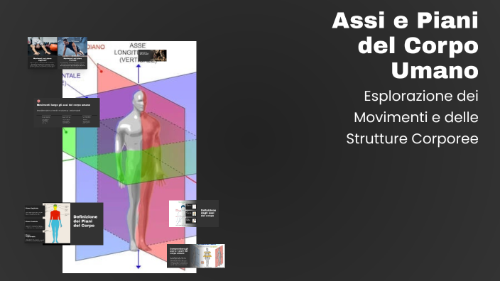 Assi e Piani del Corpo Umano by Angelica Manchisi on Prezi