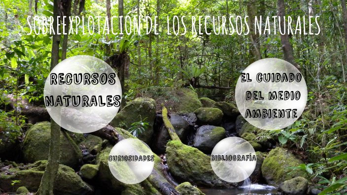 SOBREEXPLOTACIÓN DE LOS RECURSOS NATURALES by Estela Millán Fernández ...