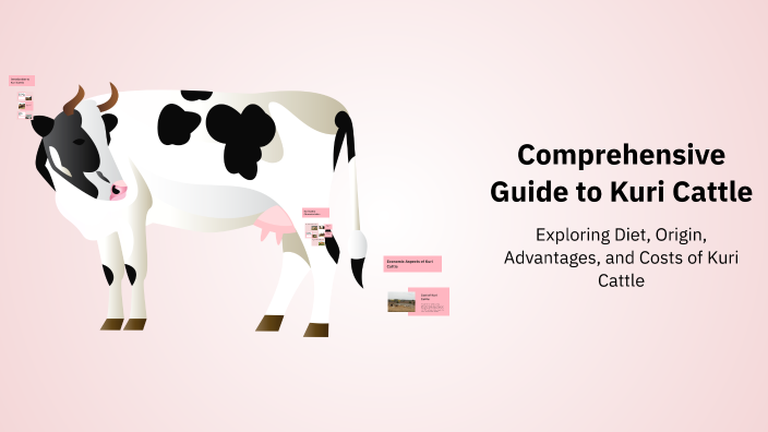 Comprehensive Guide to Kuri Cattle by joanie burney on Prezi