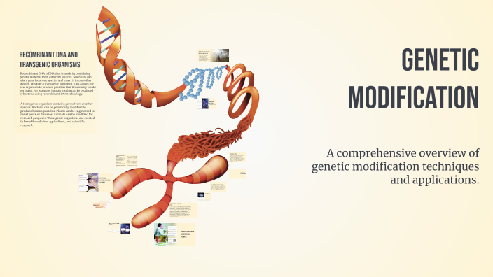 Genetic Modification in Biology by remas ben hariz on Prezi