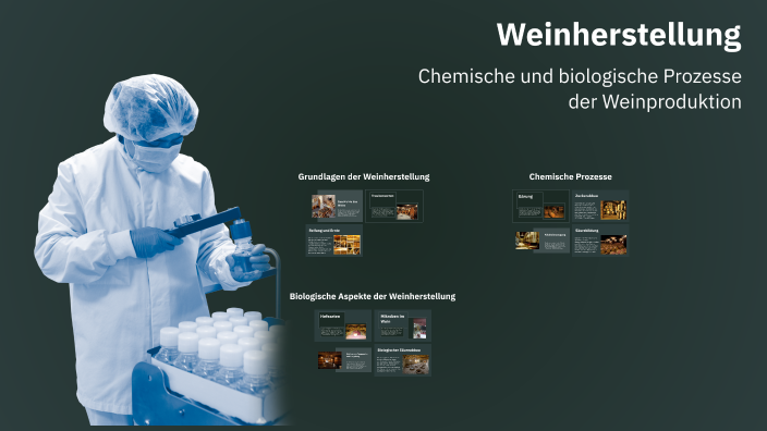 Weinherstellung by Daniel Hirschfeld on Prezi