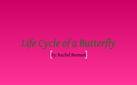 Life Cycle of a Butterfly by Rachel Beeman on Prezi