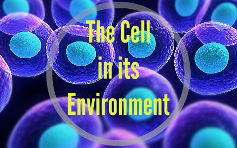 The Cell in its Environment by on Prezi