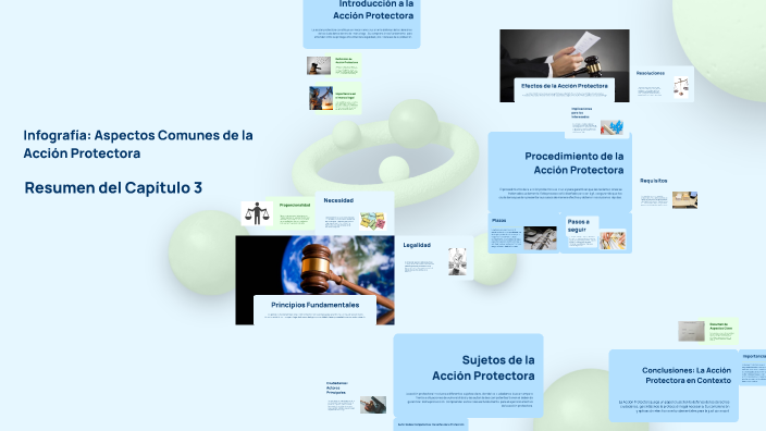 Infografía sobre los Aspectos Comunes de la Acción Protectora by Roger ...