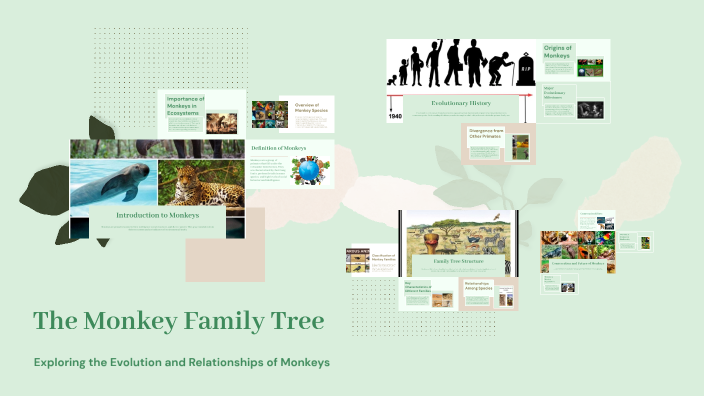 The Monkey Family Tree by Chris Shaw _ Student - DavisDriveMS on Prezi