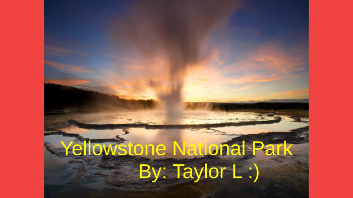 Yellowstone National Park :) by Vicki Ball