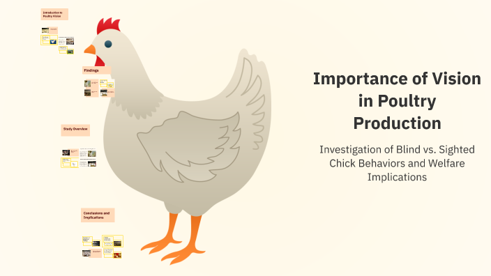 Importance of Vision in Poultry Production by andres niño on Prezi