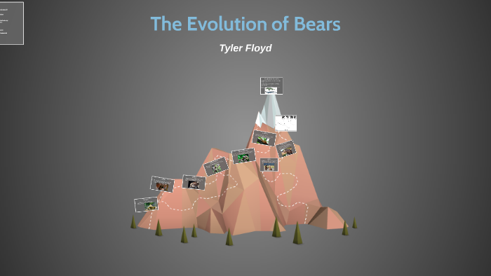The Evolution of Bears by Tyler Floyd on Prezi