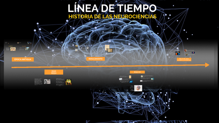 LÍNEA DEL TIEMPO: HISTORIA DE LAS NEUROCIENCIAS by tannia jazmin becerra barón on Prezi