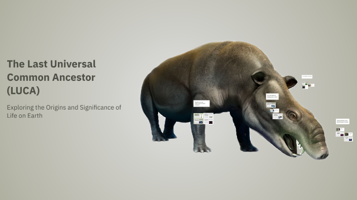The Last Universal Common Ancestor (LUCA) by Eric Supple on Prezi