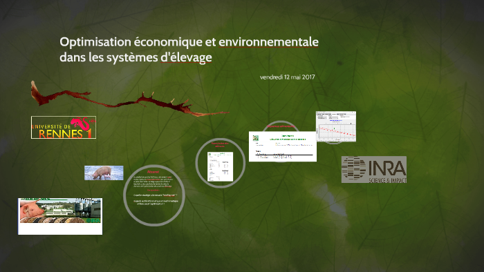 Présentation de la première partie du stage by Haoulatou Diallo on Prezi