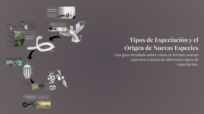 Tipos de Especiación y el Origen de Nuevas Especies by Yeyson Yair ...