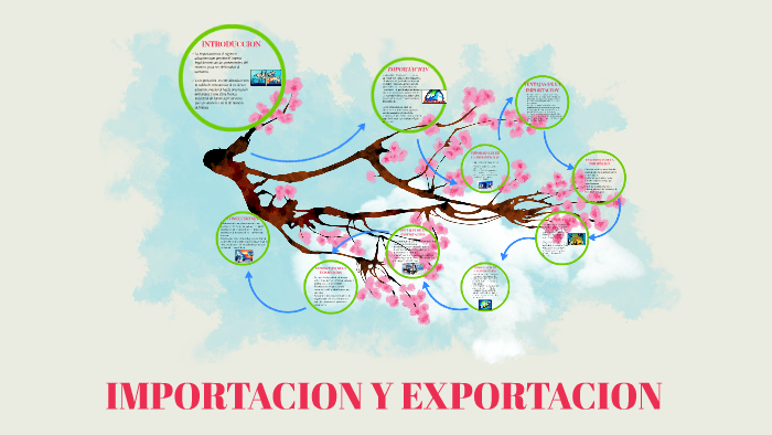 IMPORTACION Y EXPORTACION by Militza Dorita Sifuentes Torres