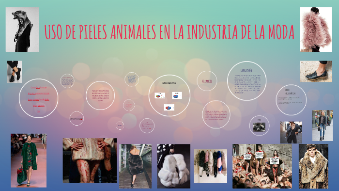 USO DE PIELES ANIMALES EN LA INDUSTRIA DE LA MODA by alejandra Castaño ...