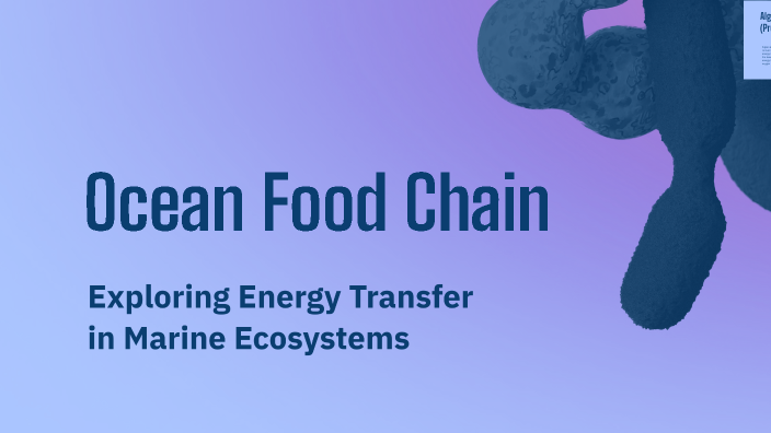 Understanding the Ocean Food Chain by StuManJim on Prezi