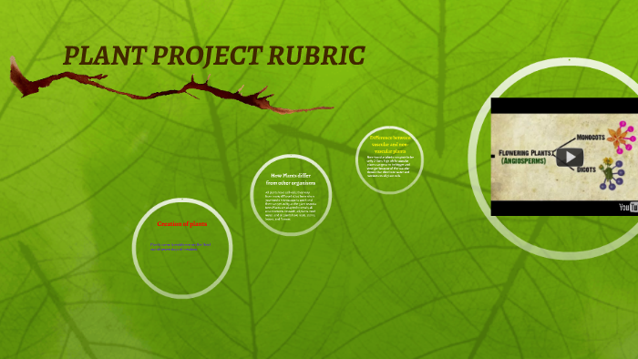 PLANT PROJECT RUBRIC by Student 1511 on Prezi