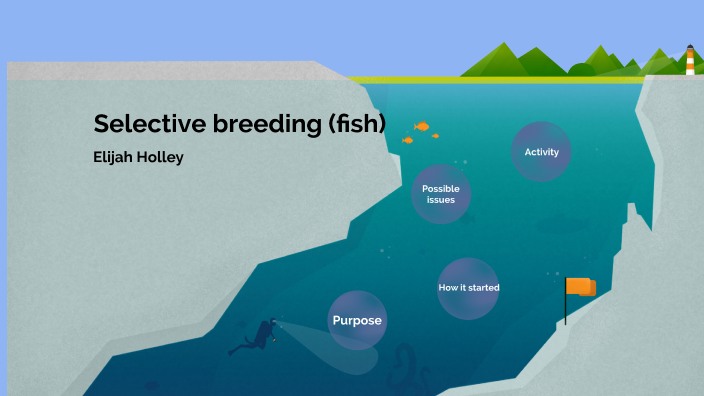 Selective breeding fish by ELIJAH HOLLEY on Prezi