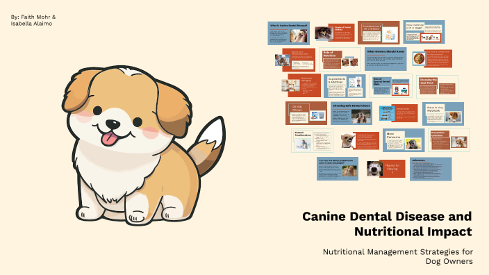 VIN 200 - Canine Dental Disease by Isabella Alaimo on Prezi