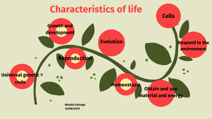 Characteristics of life concept map by Natalia Zuluaga on Prezi