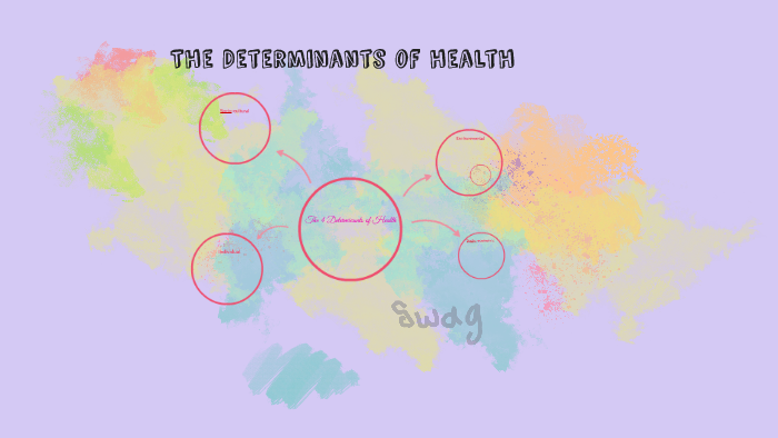 The Determinates of health by ollie kerr on Prezi