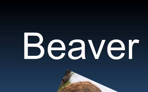Jaden/Beaver by Joyce Ortmeier on Prezi