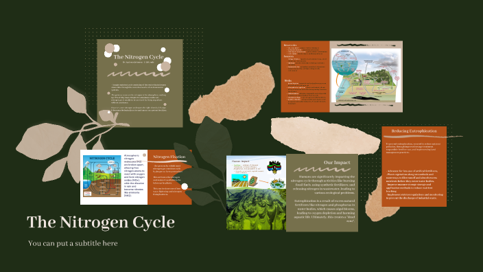 The Nitrogen Cycle by Kadence Johnson on Prezi