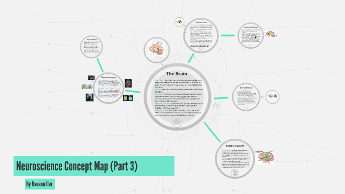 Neuroscience Concept Map by Raeann Iler on Prezi
