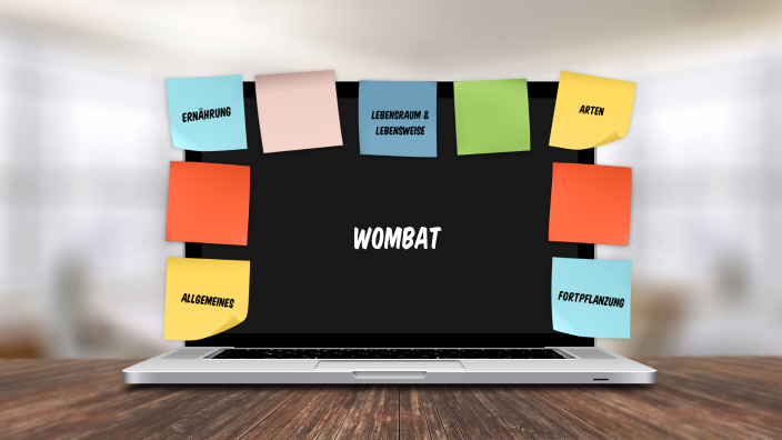 Wombat by Elisabeth Kaltenbrunner on Prezi