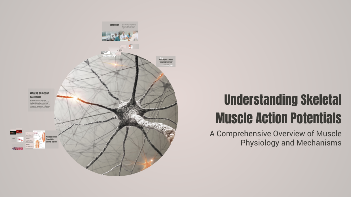 Understanding Skeletal Muscle Action Potentials by Mohamed Saad on Prezi