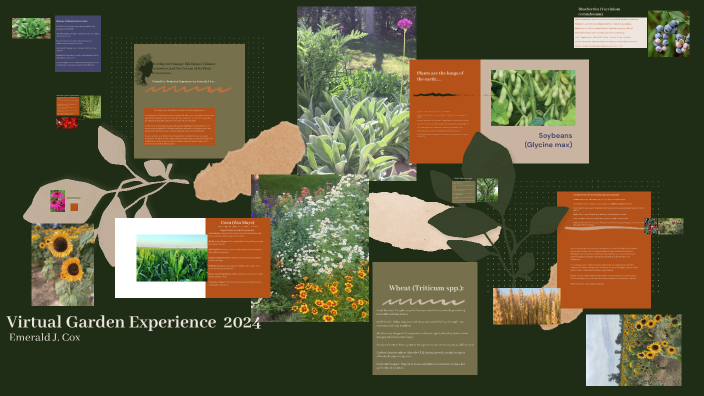 Rooting for Change: Michigan's Climate Initiatives and the Future of ...