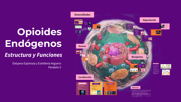 Opioides Endógenos by Dalyana Espinoza Tobar on Prezi