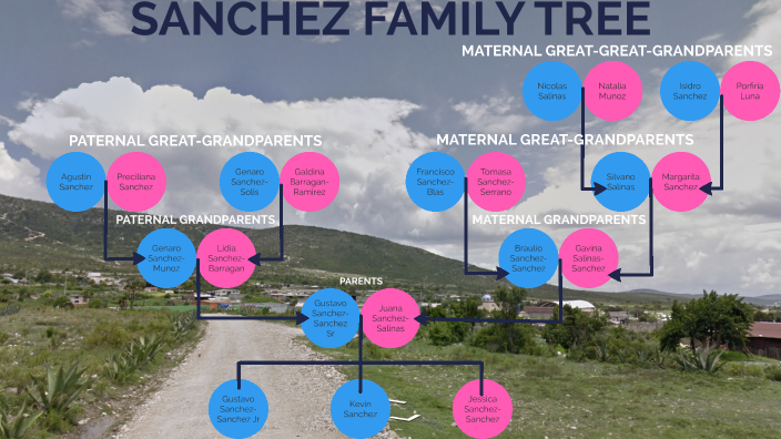 Sanchez Family Tree by Kevin Sanchez on Prezi