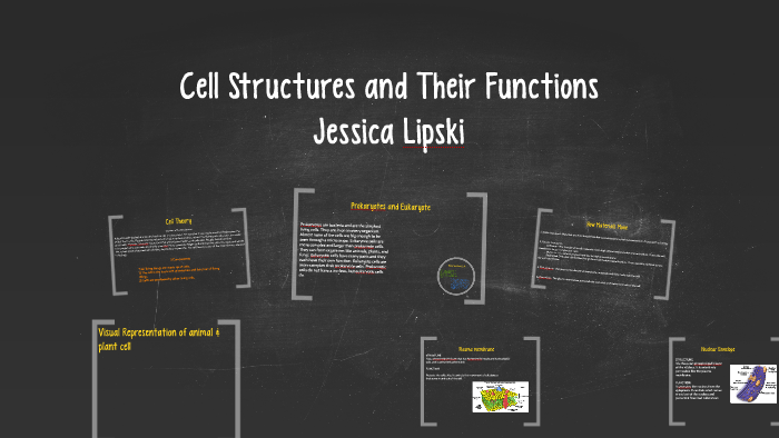 Cell Structures and Their Functions by Jessica Lipski on Prezi