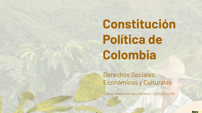 Constitución Política De Colombia By Diana Valentina Soto Romero On Prezi