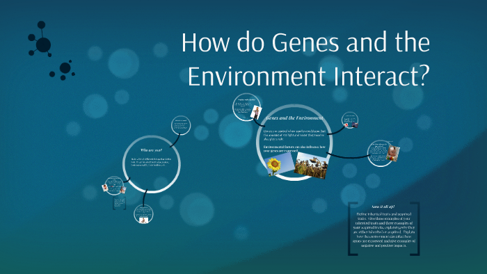 How do Genes and the Environment Interact? by Jessica Copeland on Prezi