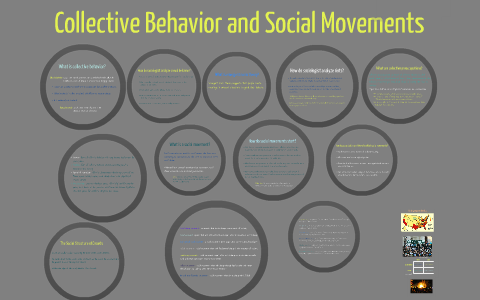 Collective Behavior and Social Movements by Amanda Yenke