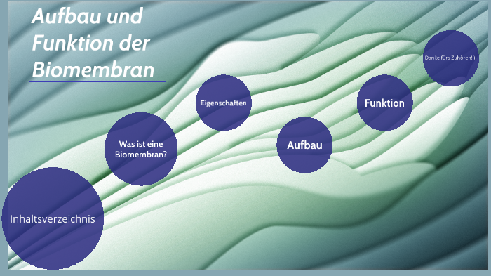 Aufbau und Funktion der Biomembran by Elmina Tuzkaya on Prezi