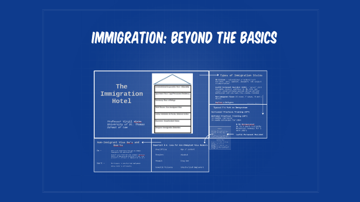 Immigration: Beyond the basics by Rebecca Kehe on Prezi