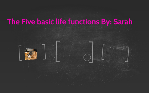 The Five basic life functions by REBECCA BAGGETT on Prezi