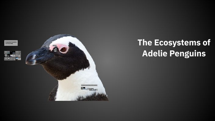 The Ecosystems of Adelie Penguins by Alexa Jacobs on Prezi