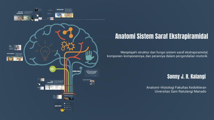 Anatomi Sistem Saraf Ekstrapiramidal by Sonny Kalangi on Prezi