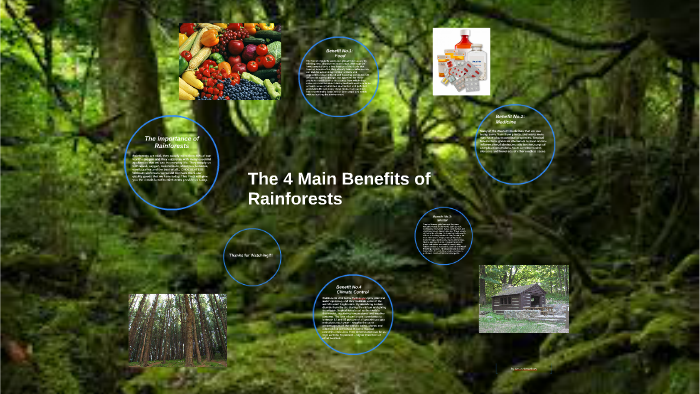 The 4 Main Benefits of Rainforests by Abrar Chowdhury on Prezi The 4 Main Benefits of Rainforests by Abrar Chowdhury on Prezi