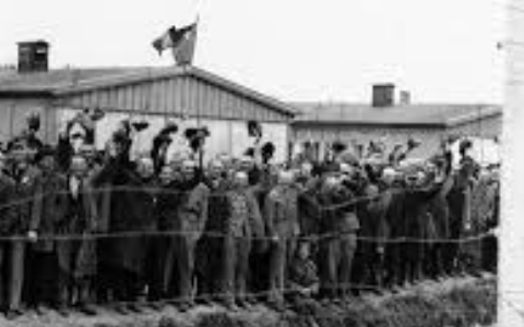 Concentration Camps by Mary Grace Mitchell on Prezi