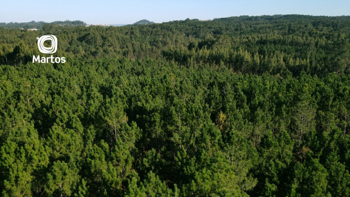 Seminário Monte Real by Martos Marketing on Prezi