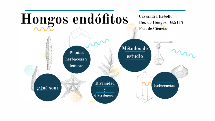 Hongos endófitos by Cassadra Rojas on Prezi