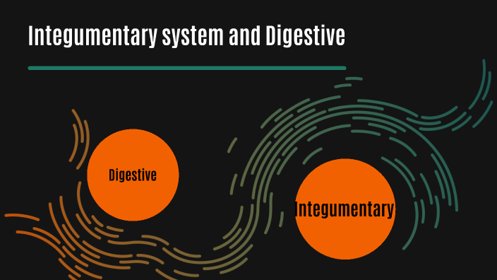 Integumentary system and Digestive by Abilene Rose on Prezi